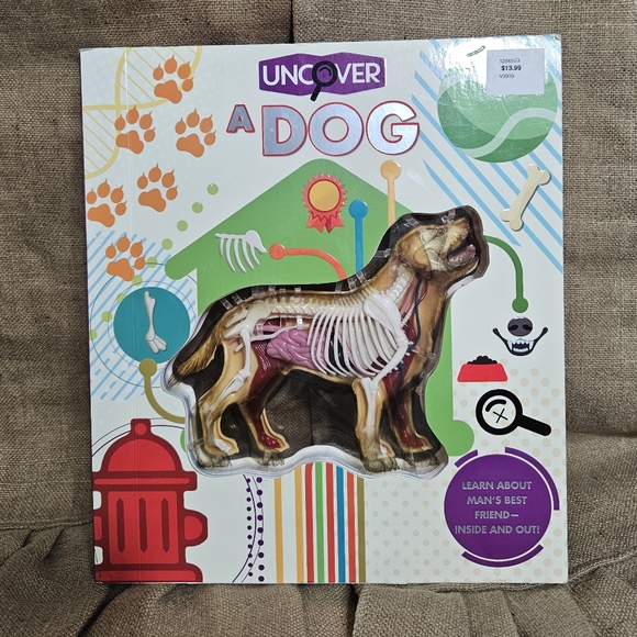 Source Unknown | Toys | Uncover A Dog Inside Out Skelton Book | Poshmark